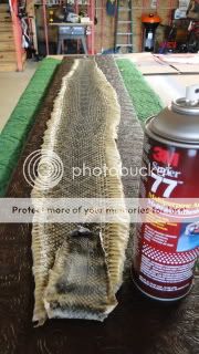 DIY Rattlesnake skin mount write up | 2 Cool Fishing Forum