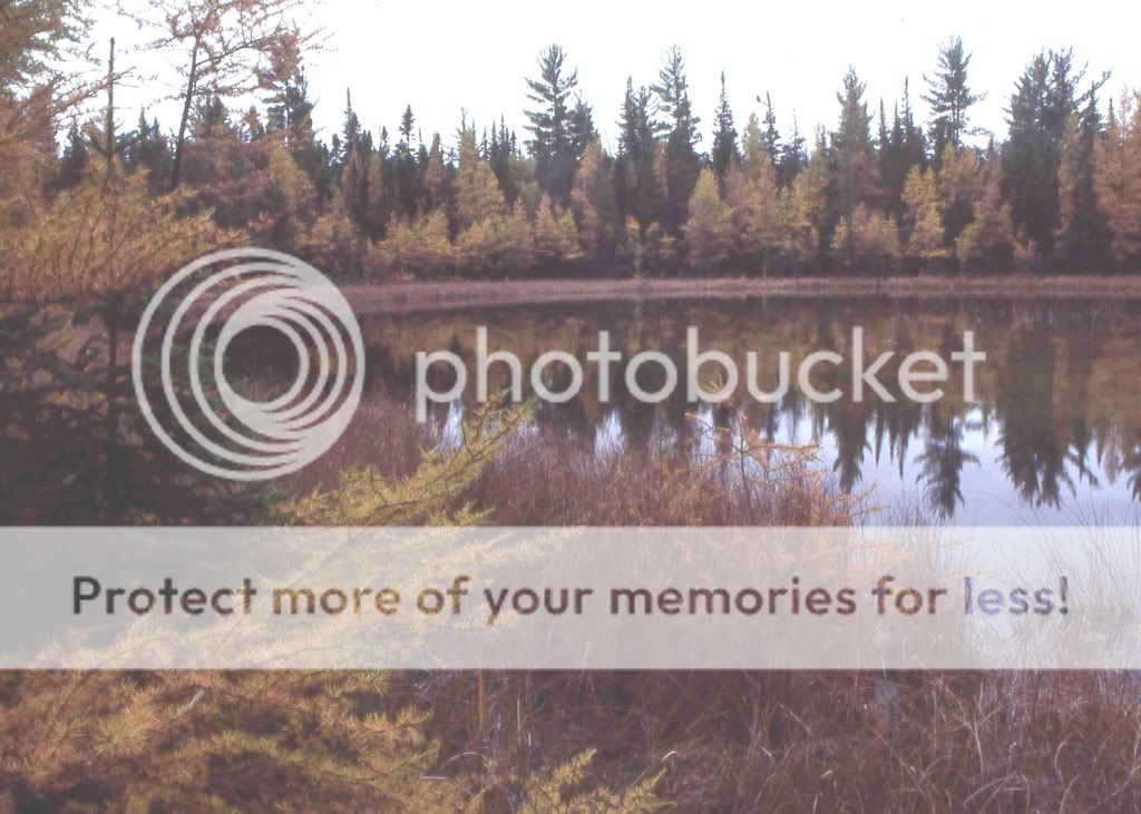 Get To Know A Sanctuary- Lost Lake | Michigan Nature Association