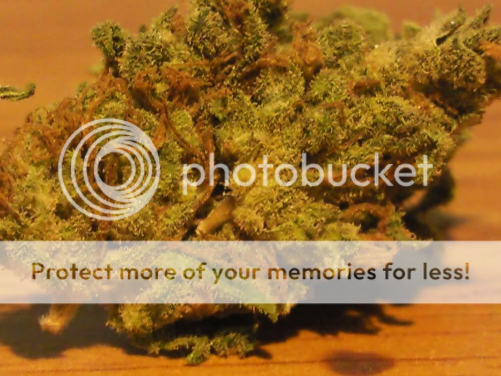 Molly + Acid + Headies