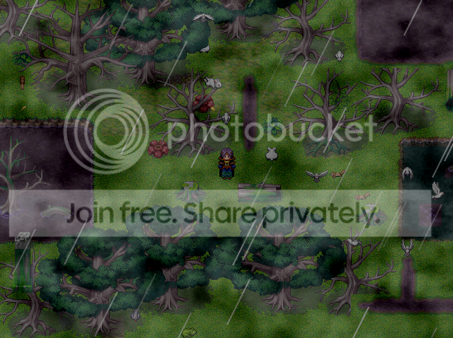 RMXP Mapping Contest -- Round 1 -- Swampy Forest - RPG Maker XP Forum ...