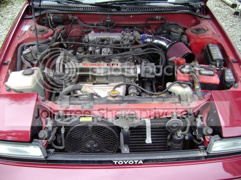My first Corolla | Toyota Forum