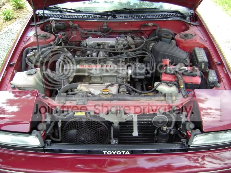 My first Corolla | Toyota Forum