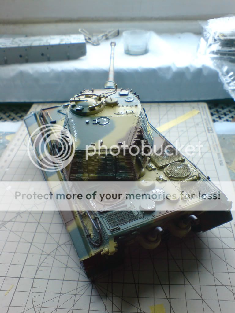 Dragon King Tiger. - Work in Progress - Armour - Britmodeller.com